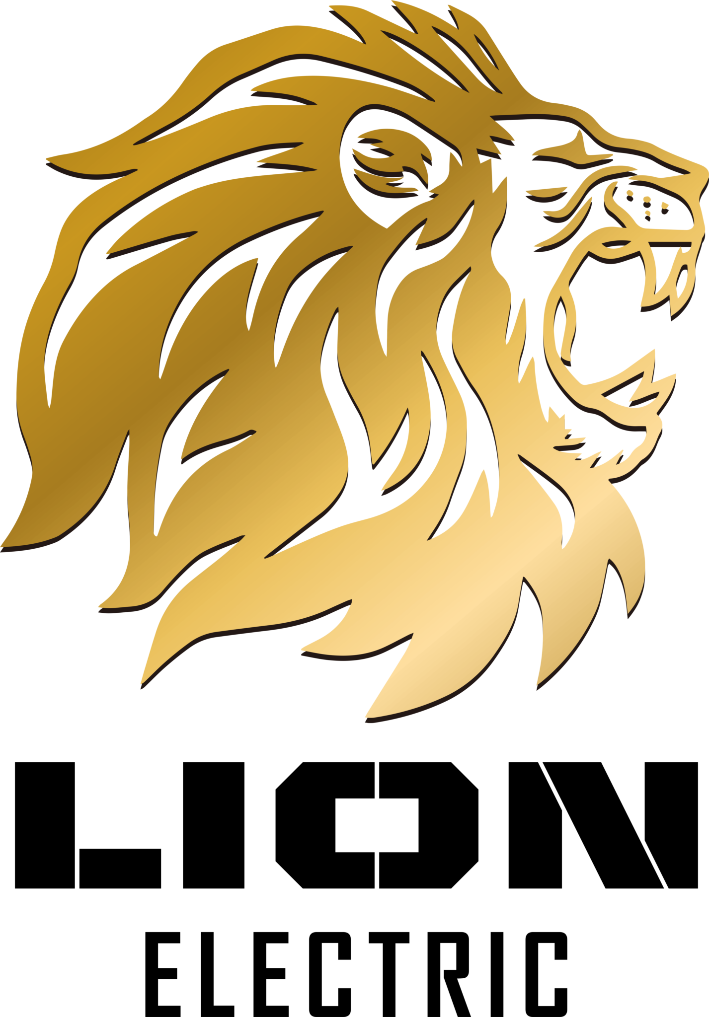 Golden Lion Copper Wire – Welcome to Golden Lion Copper Wire